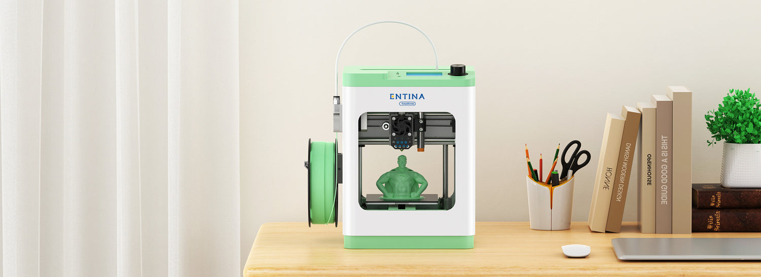ENTINA 3D